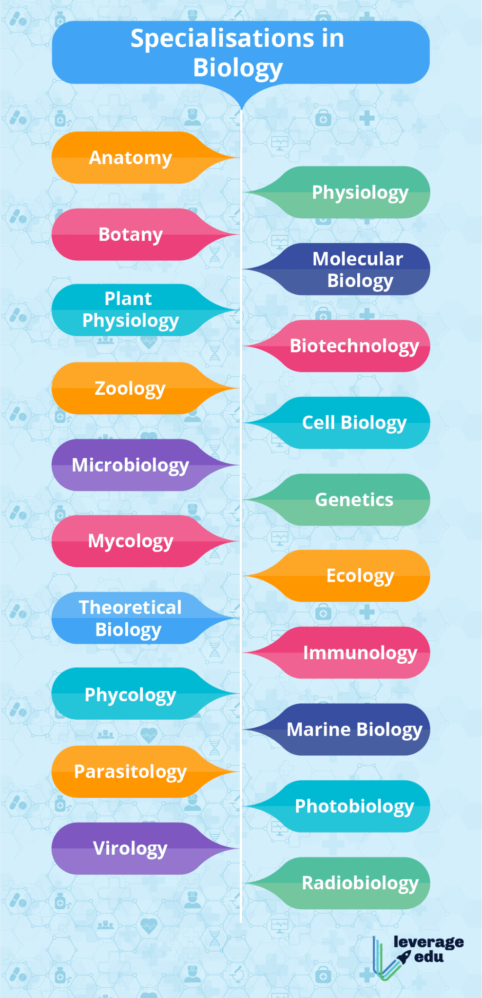 Courses in Biology after 12th Except MBBS [2023 List] | Leverage Edu