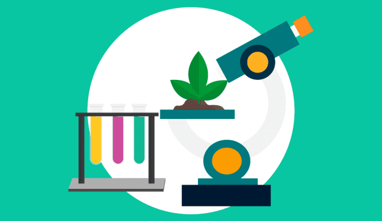 Courses After BiPC: After Inter BiPC Courses List 2025