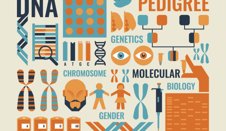 Difference Between BSc and BSc Hons. (Honours) | Leverage Edu