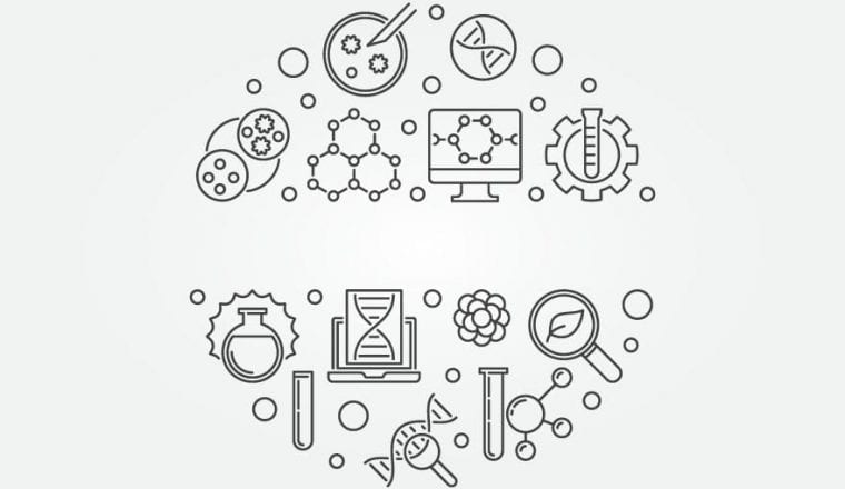 Courses After BiPC: After Inter BiPC Courses List 2025