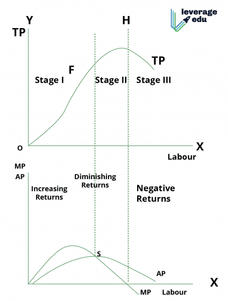Law of Variable Proportion: Detailed Explanation | Leverage Edu