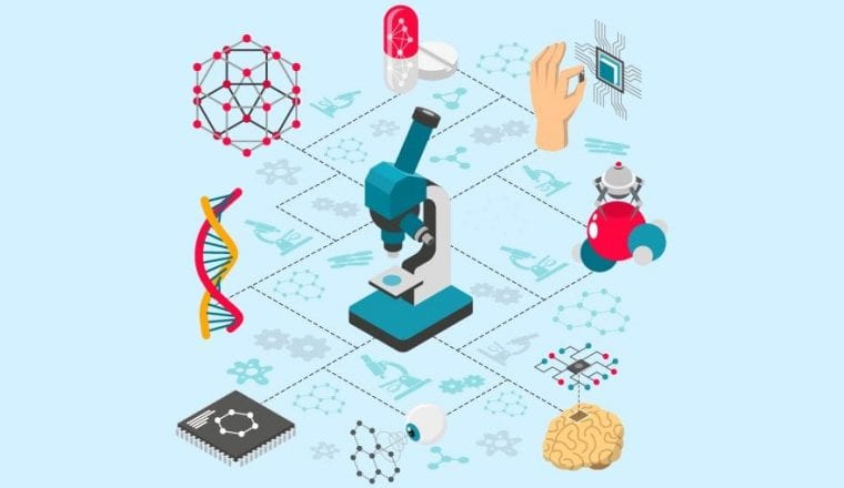 100 Branches of Biology from A to Z: All Branches | Leverage Edu