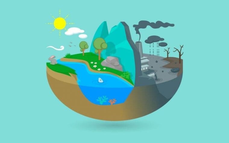 Essay on Pollution: Elements, Type, Format & Samples | Leverage Edu