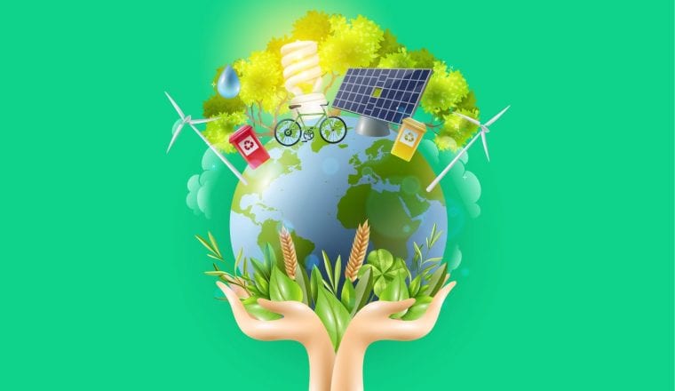 Environmental Conservation: Definition, Importance, UPSC