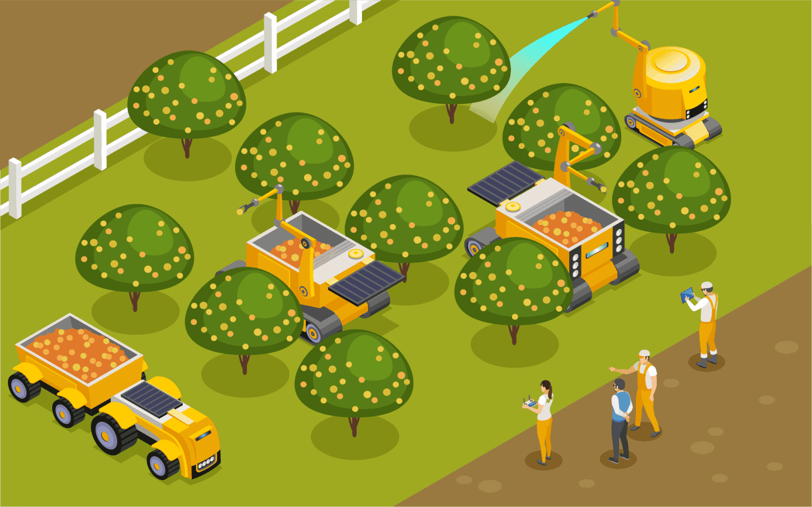 Scope & Jobs After BSc Agriculture: Government & Private | Leverage Edu