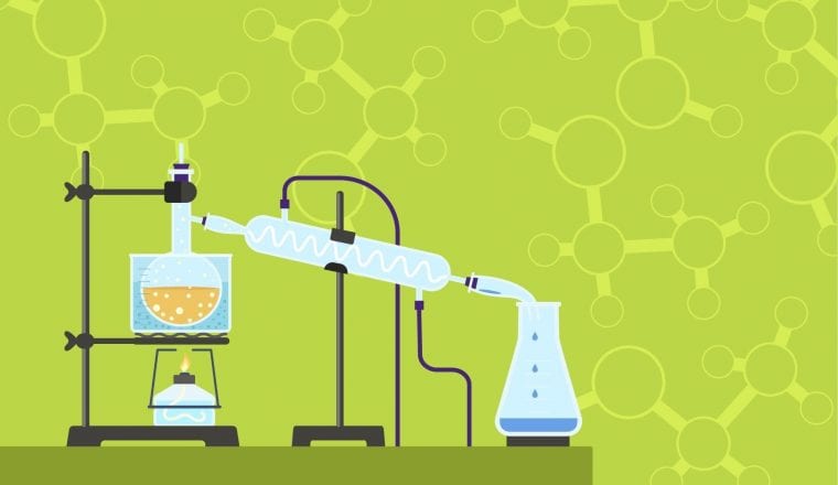 BiPC Subjects Full Form, Advantages, Courses & More I Leverage Edu