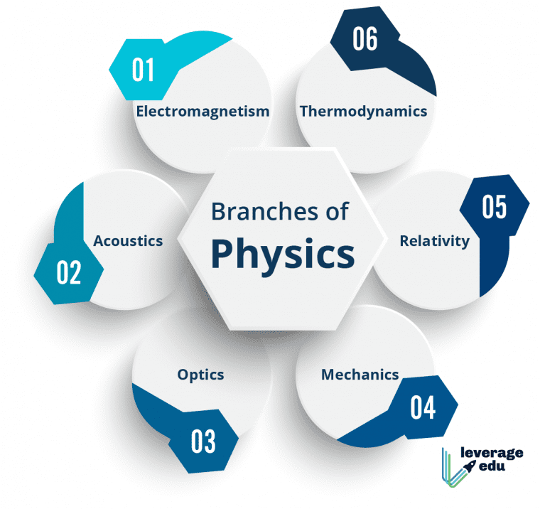 BiPC Subjects Full Form, Advantages, Courses & More I Leverage Edu