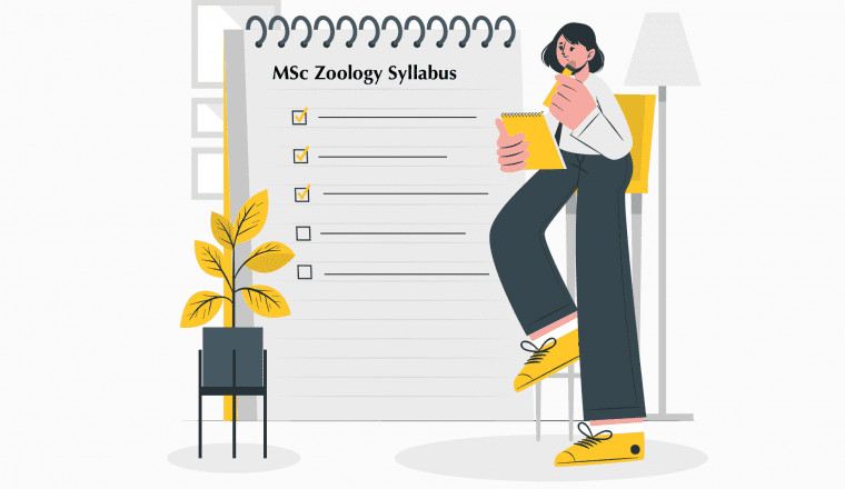 Nature & Scope of MIS: Definition, Purpose, Jobs, Careers | Leverage Edu