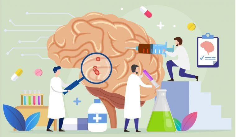 BSc Neuroscience Syllabus, Scope, Salary in India 2022 | Leverage Edu