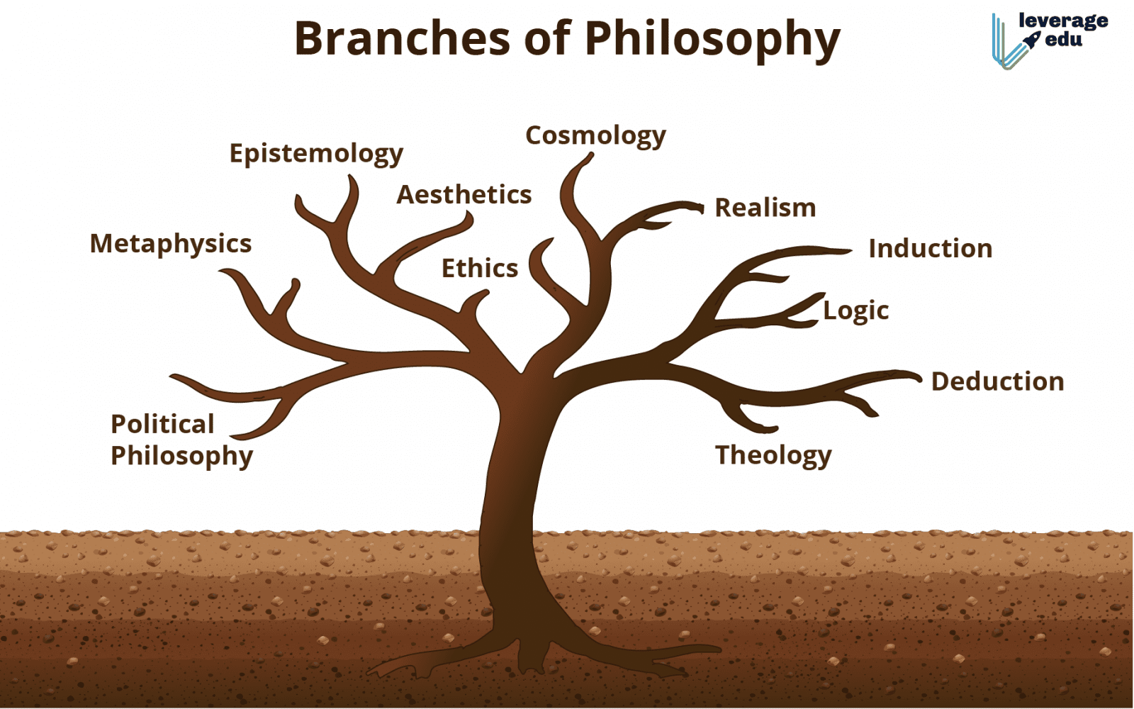 Main Branches of Philosophy: Overview, Download PDF | Leverage Edu