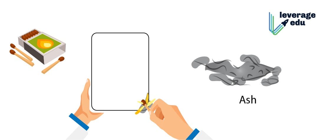 18 Interesting Science Experiments for Class 6 at Home | Leverage Edu