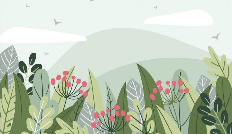 Courses After BiPC: After Inter BiPC Courses List 2025