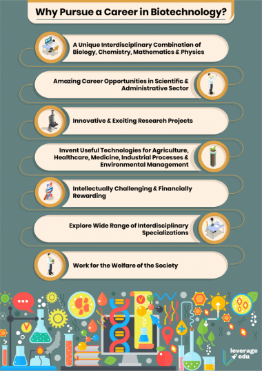 Scope of Biotechnology: Pathways, Jobs & Future Outlook - Leverage Edu