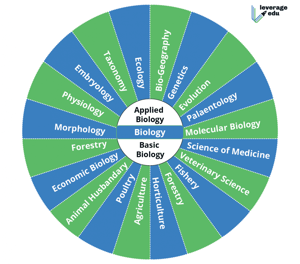 Branches of Biology A to Z: 100+ Biology Branches & Significance