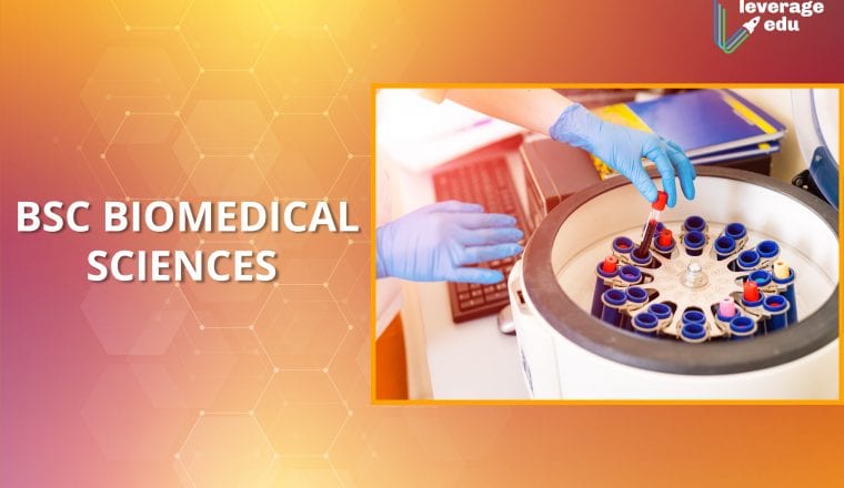 Medical Coding: Exam, Syllabus, Eligibility, Duration, Fees | Leverage Edu