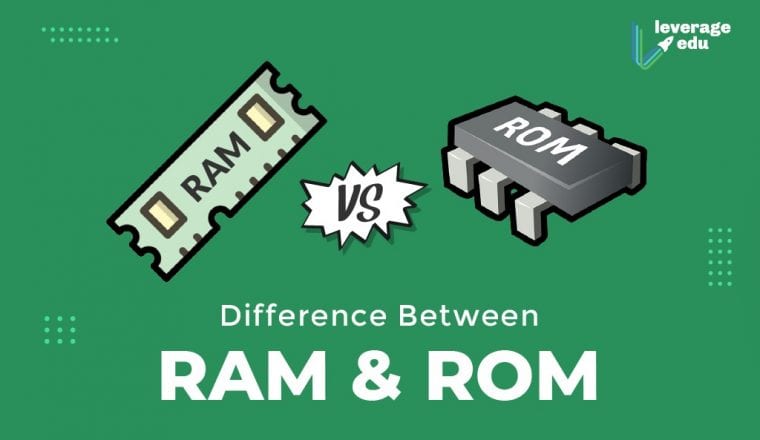 Class 11 Plant Growth and Development: NCERT Notes | Leverage Edu