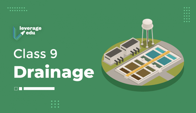 Class 9 Archives - Leverage Edu