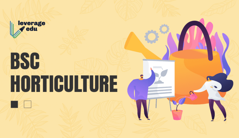 BBA Subjects - Complete 2023 Semester-Wise List | Leverage Edu