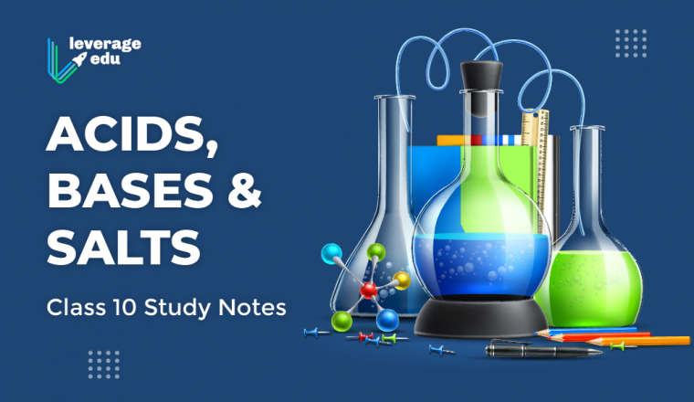 BiPC Subjects Full Form, Advantages, Courses & More I Leverage Edu