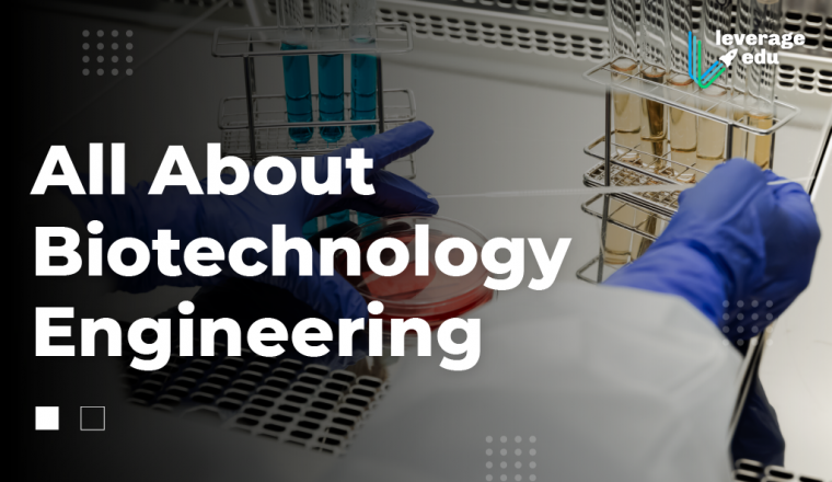 Scope of Biotechnology: Pathways, Jobs & Future Outlook - Leverage Edu
