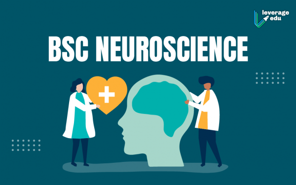 BSc Neuroscience Course: Eligibility, Syllabus, Scope, Salary | Leverage Edu