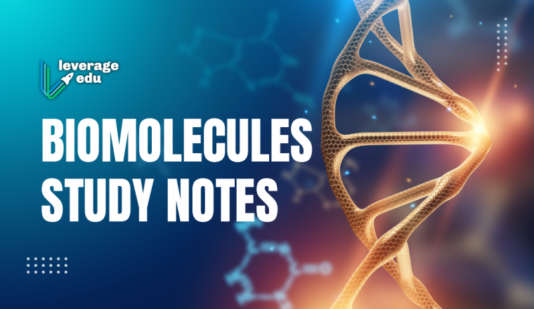 BiPC Subjects Full Form, Advantages, Courses & More I Leverage Edu