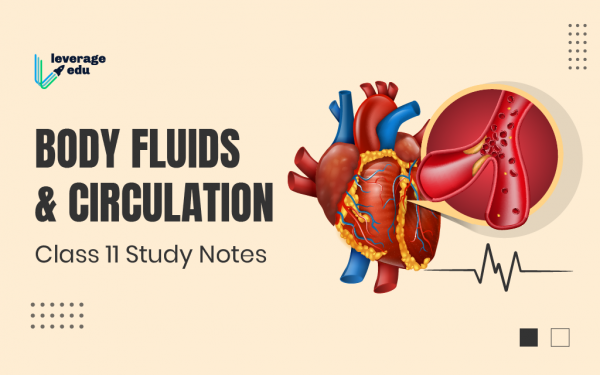 NCERT Notes Class 11 Science Body Fluids and Circulation - |Leverage Edu