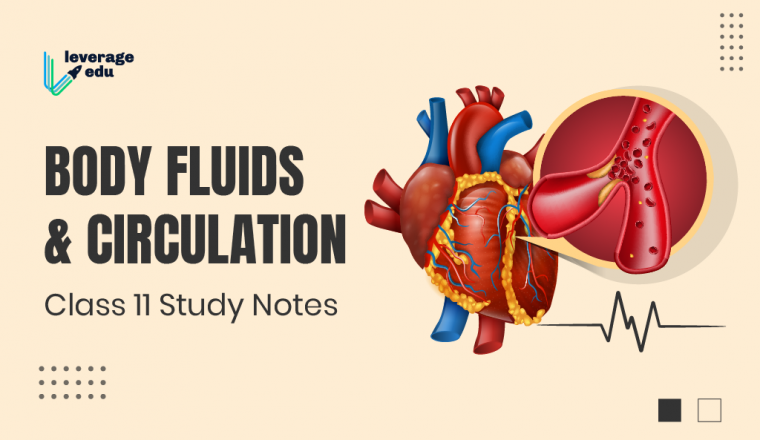 BiPC Subjects Full Form, Advantages, Courses & More I Leverage Edu