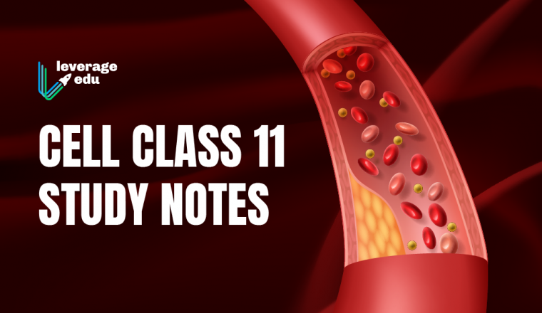 Courses After BiPC: After Inter BiPC Courses List 2025