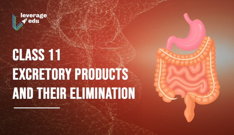 BiPC Subjects Full Form, Advantages, Courses & More I Leverage Edu