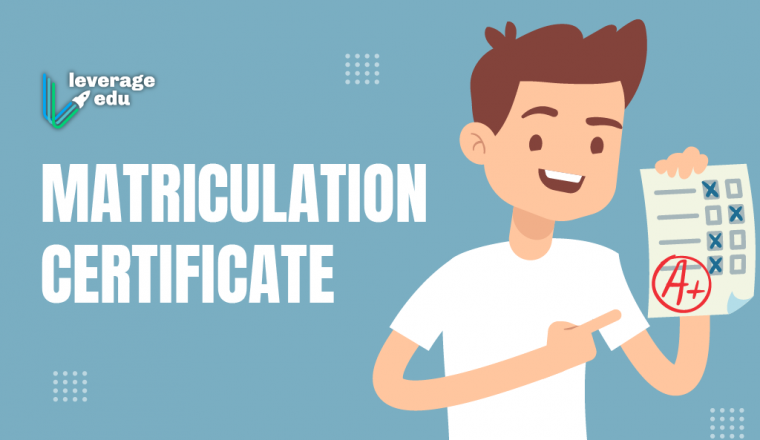 Professional LOR Format & Samples 2022 I Leverage Edu