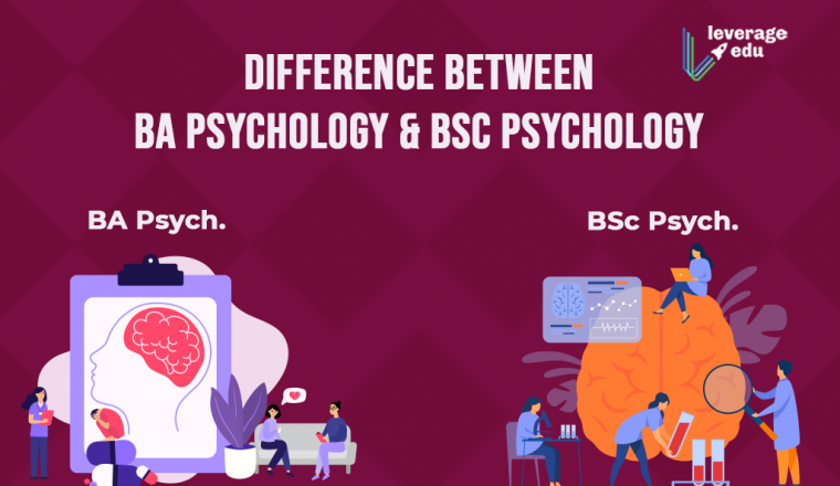 BSc Honours: Subjects, Eligibility, Syllabus and Scope | Leverage Edu