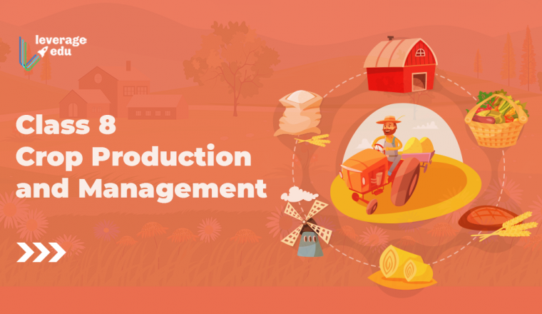 List of Best Science Projects for Class 8 | Leverage Edu