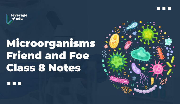 BSc Honours: Subjects, Eligibility, Syllabus and Scope | Leverage Edu