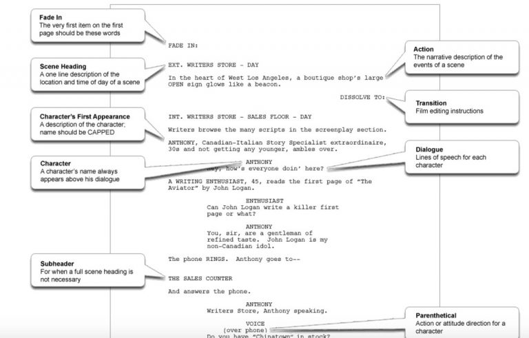 Story Writing Format: Story Writing Topics for Class 9 to 12