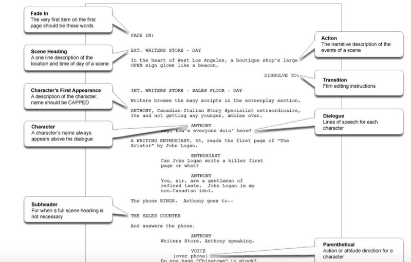 Story Writing Format: Story Writing Topics for Class 9 to 12