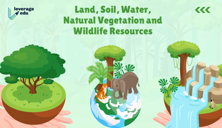 List of Best Science Projects for Class 8 | Leverage Edu