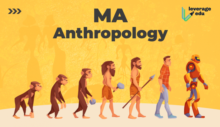 Let's Have a Look at Popular Branches of Anthropology - Leverage Edu