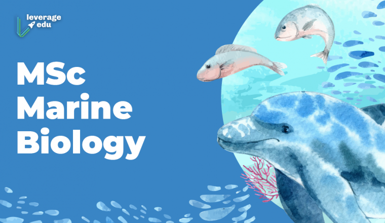 Marine Biology Archives - Leverage Edu