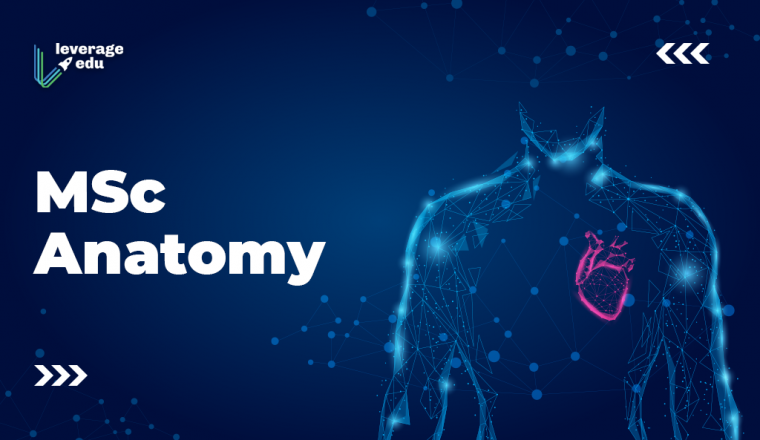 Medical Coding: Exam, Syllabus, Eligibility, Duration, Fees | Leverage Edu