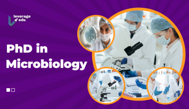 PhD in Commerce: Requirements, Salary, and More, Duration, Colleges ...