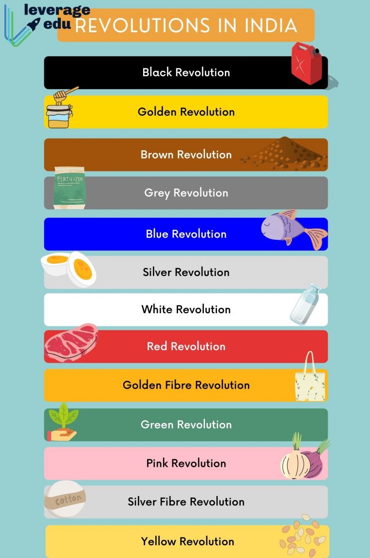 Revolutions in India You Must Know About | Leverage Edu