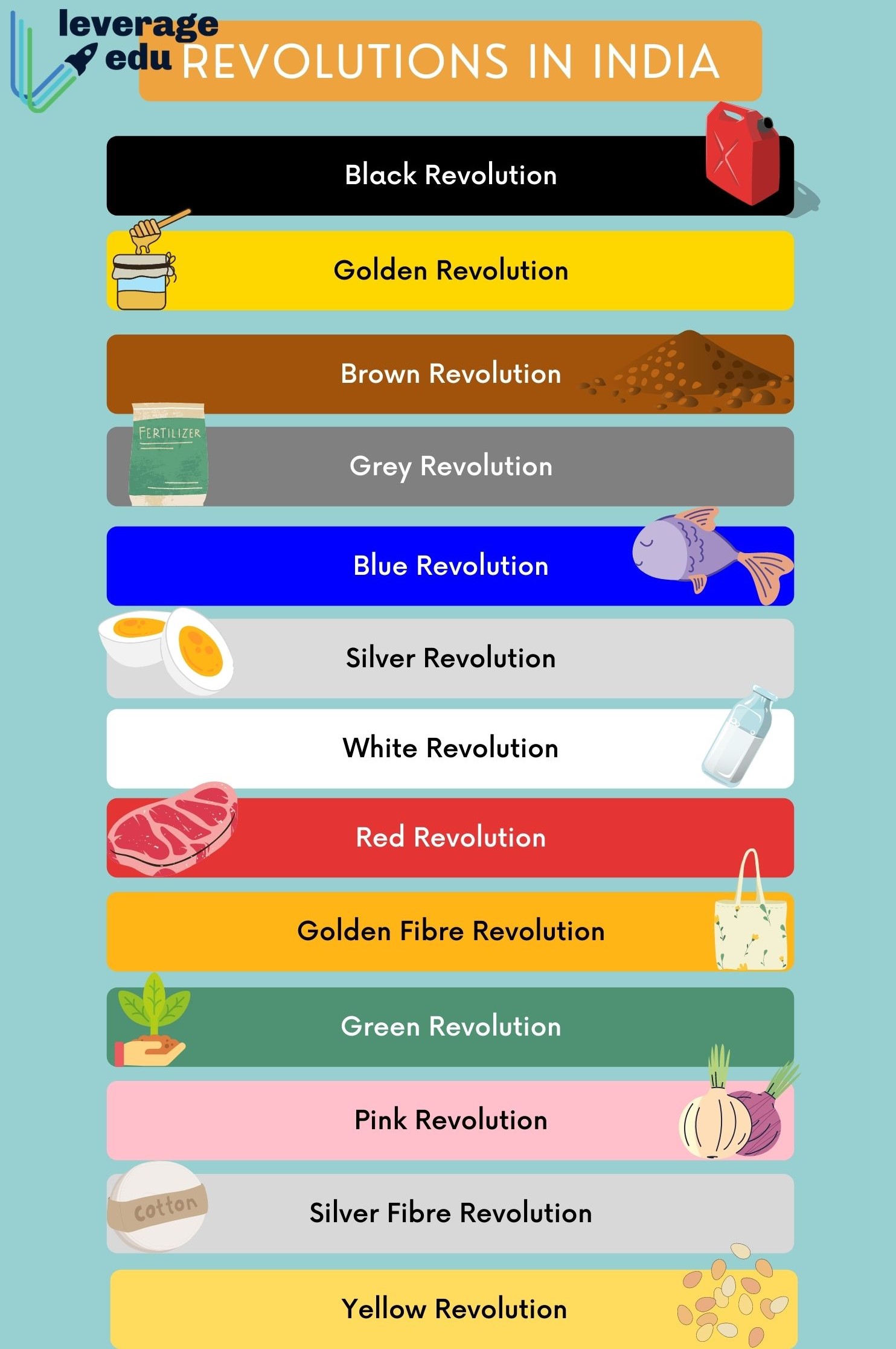 Revolutions in India You Must Know About | Leverage Edu