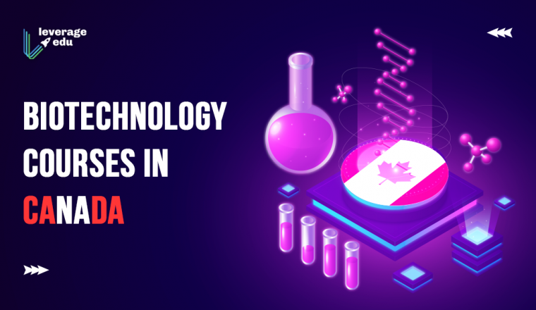 Scope of Biotechnology: Pathways, Jobs & Future Outlook - Leverage Edu