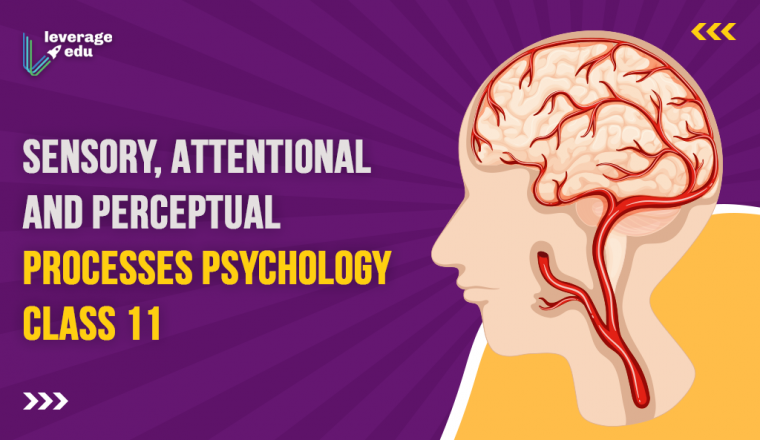 Class 11 Psychology Chapter 7 Human Memory | Leverage Edu