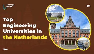 Study in Netherlands Archives - Leverage Edu