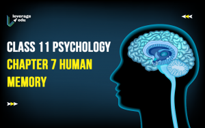 Class 11 Psychology Chapter 7 Human Memory | Leverage Edu