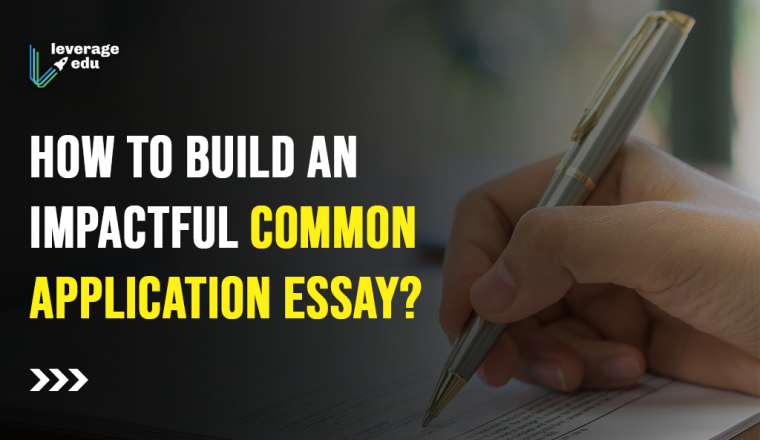 What is Proof or Evidence of Financial Support? | Leverage Edu