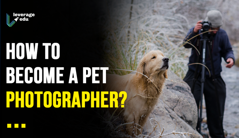 How to Become a Customs Officer in India?