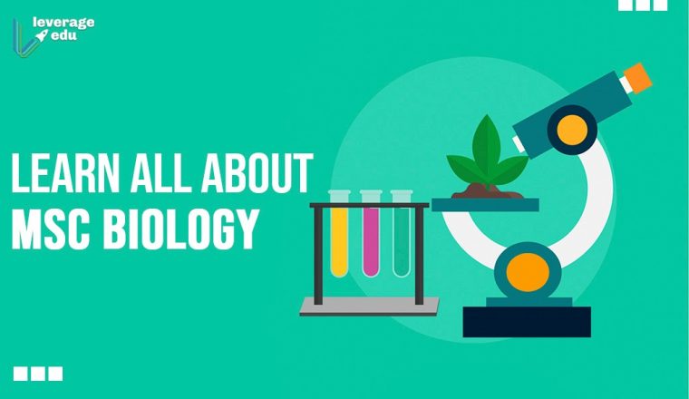 Courses After BiPC: After Inter BiPC Courses List 2025